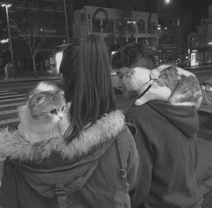 Aqaye_Labu - انجمن ایران ام تی ای